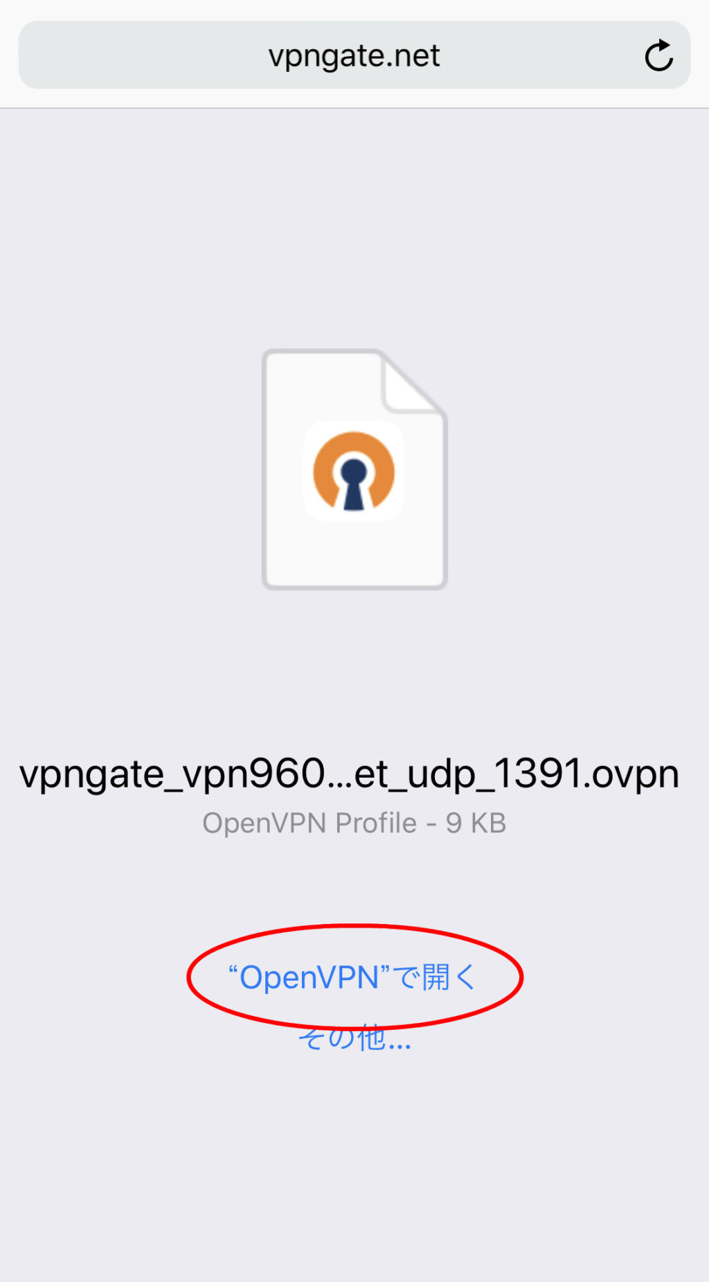 kvpn-3｜mana korea blog